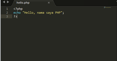 Mengenal pemrograman PHP(Hypertext Preprocessor)