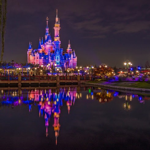 Disney Photoblography