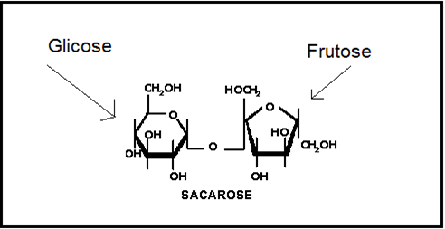 Sacarose