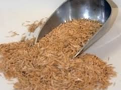 Do-It-Yourself Green Building with Jerry Young: Design - Rice Hull ...