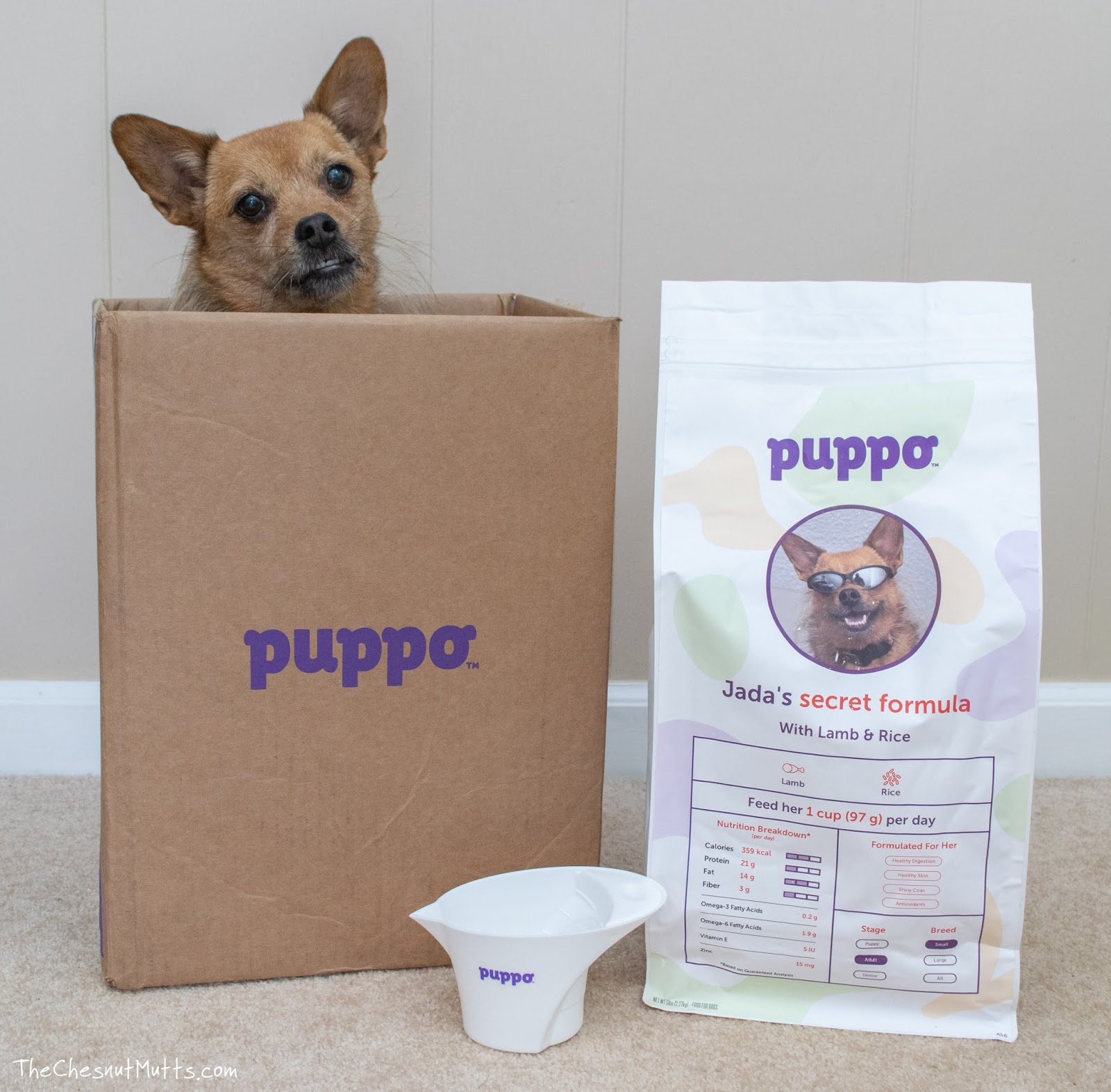 Review: Puppo - The Customizable Dog Food Delivered to Your Doorstep ...