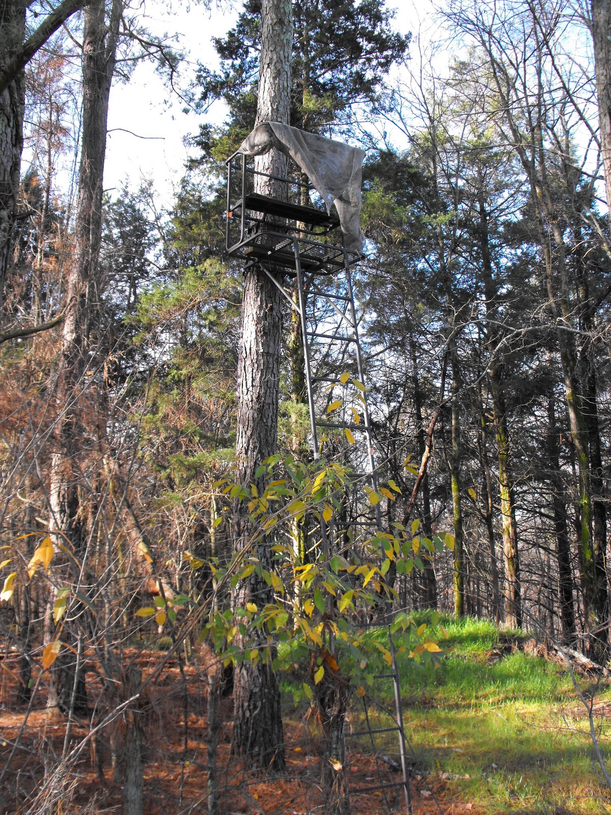 A Spike Camp Hunt | Outdoors | Before It's News