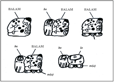 Casa do Escriba: Apresentando Baalam, o jaguar (Panthera onca)