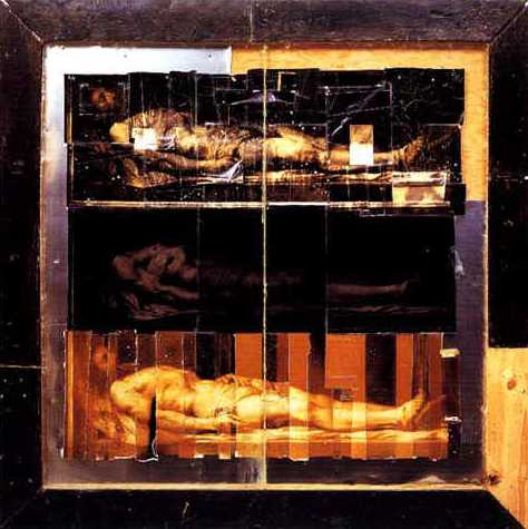 Digital Imaging and Photography: Doug and Mike Starn