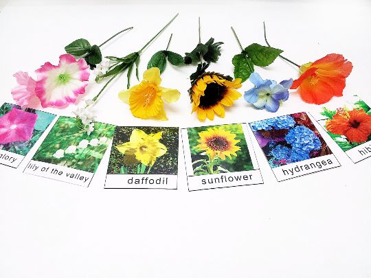 20 actividades para Primavera de inspiración Montessori - Aprendiendo ...