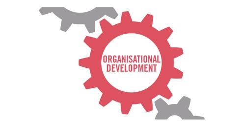 What is Organizational Development? 5 Phases, benefits, process, and ...