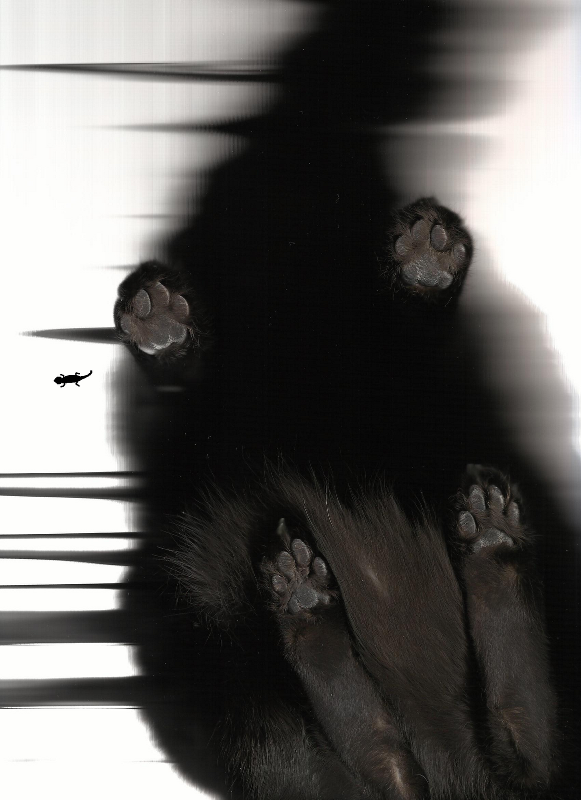 The Edigator News: noviembre 2011