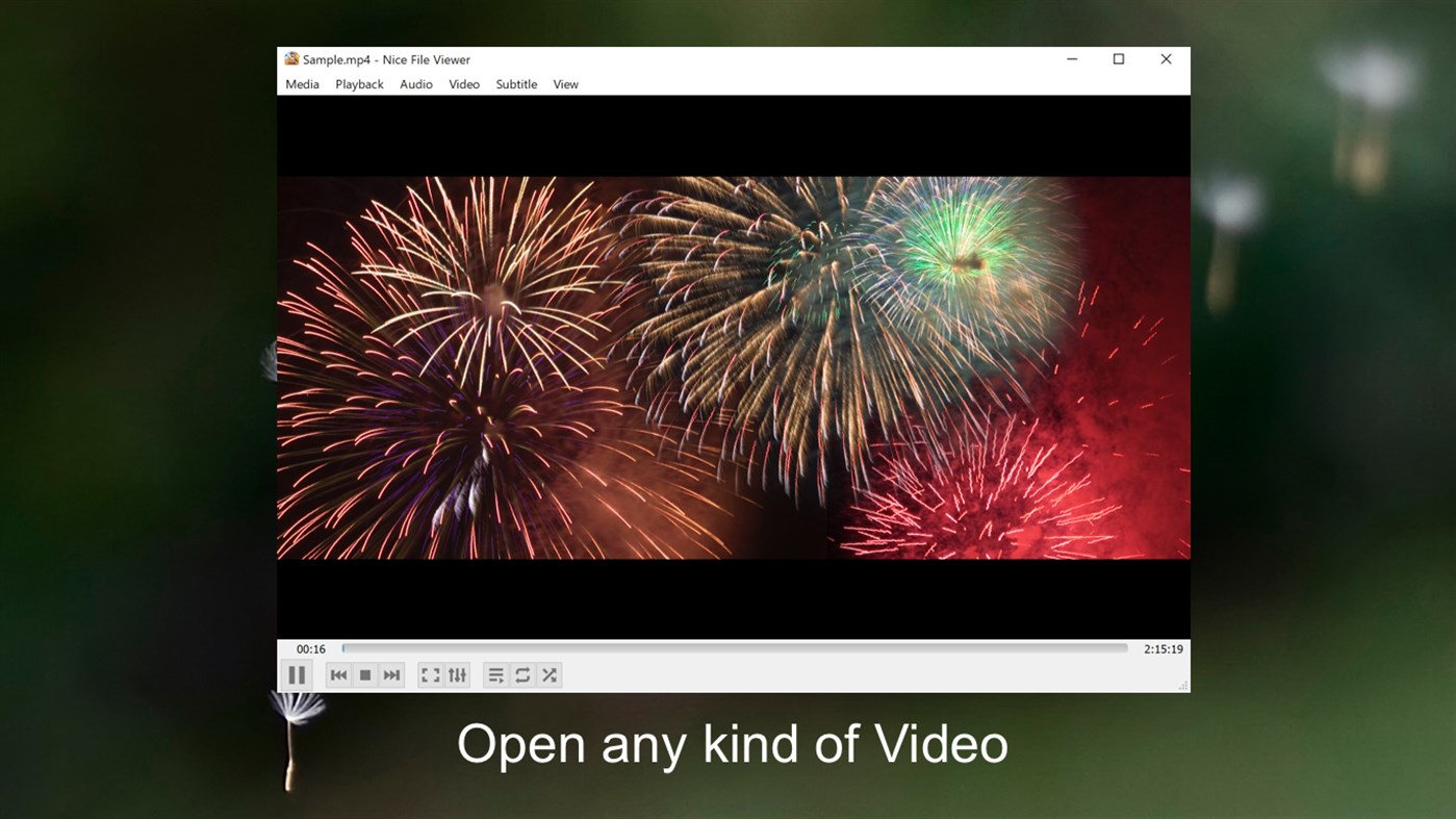 Download Nice File Viewer, visualizzatore universale per Windows 10