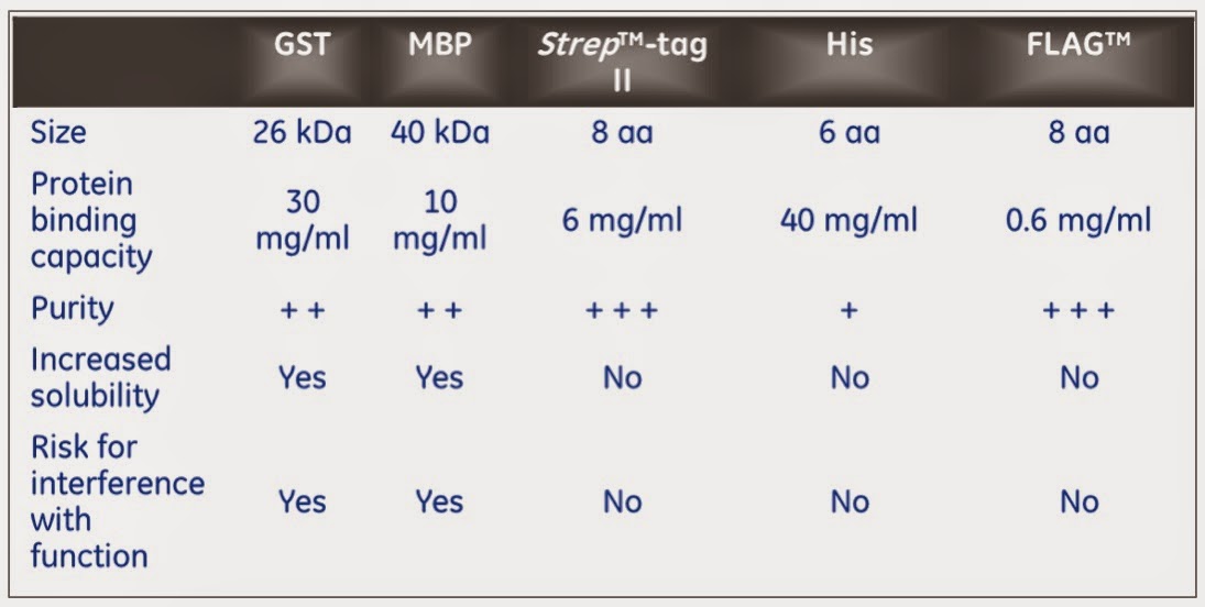 GE Protein Skills Blog: Pairing your Protein with a Purification Tag