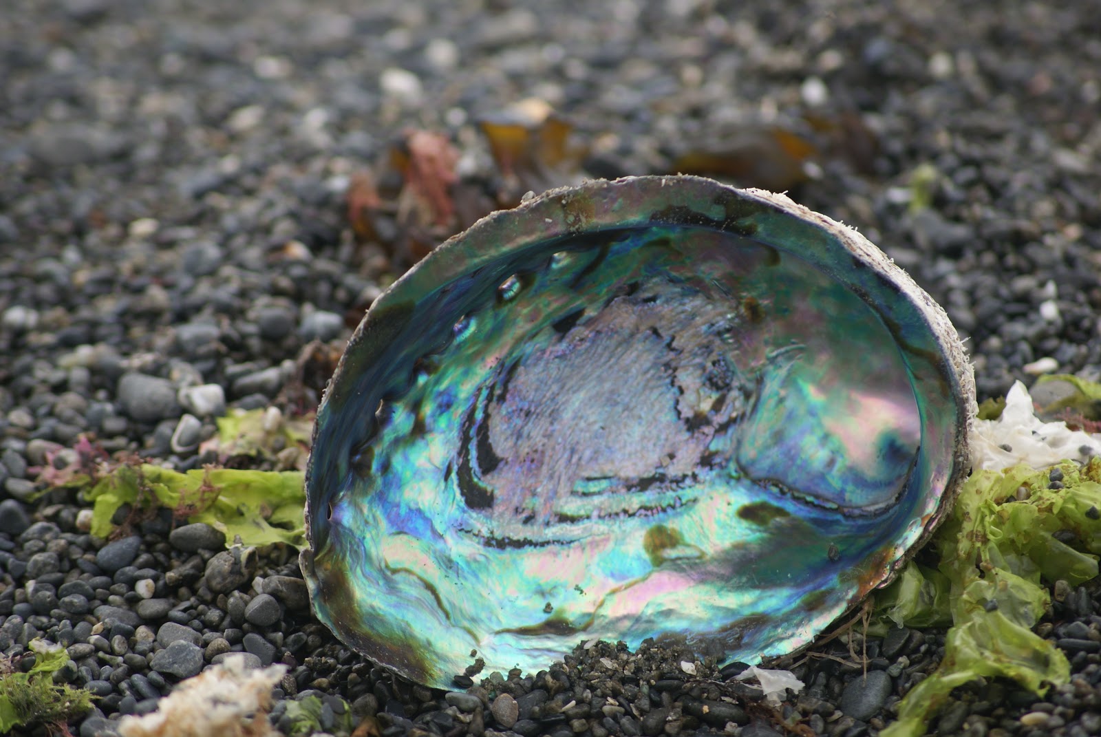 A knife with a handle made of the mineral Labradorite : r/pics