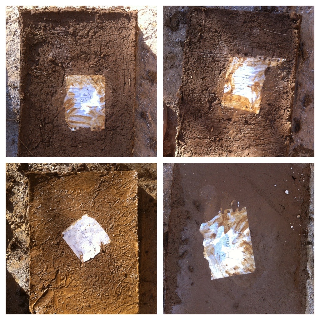 BioCalli: Elaboración de blocks de adobe