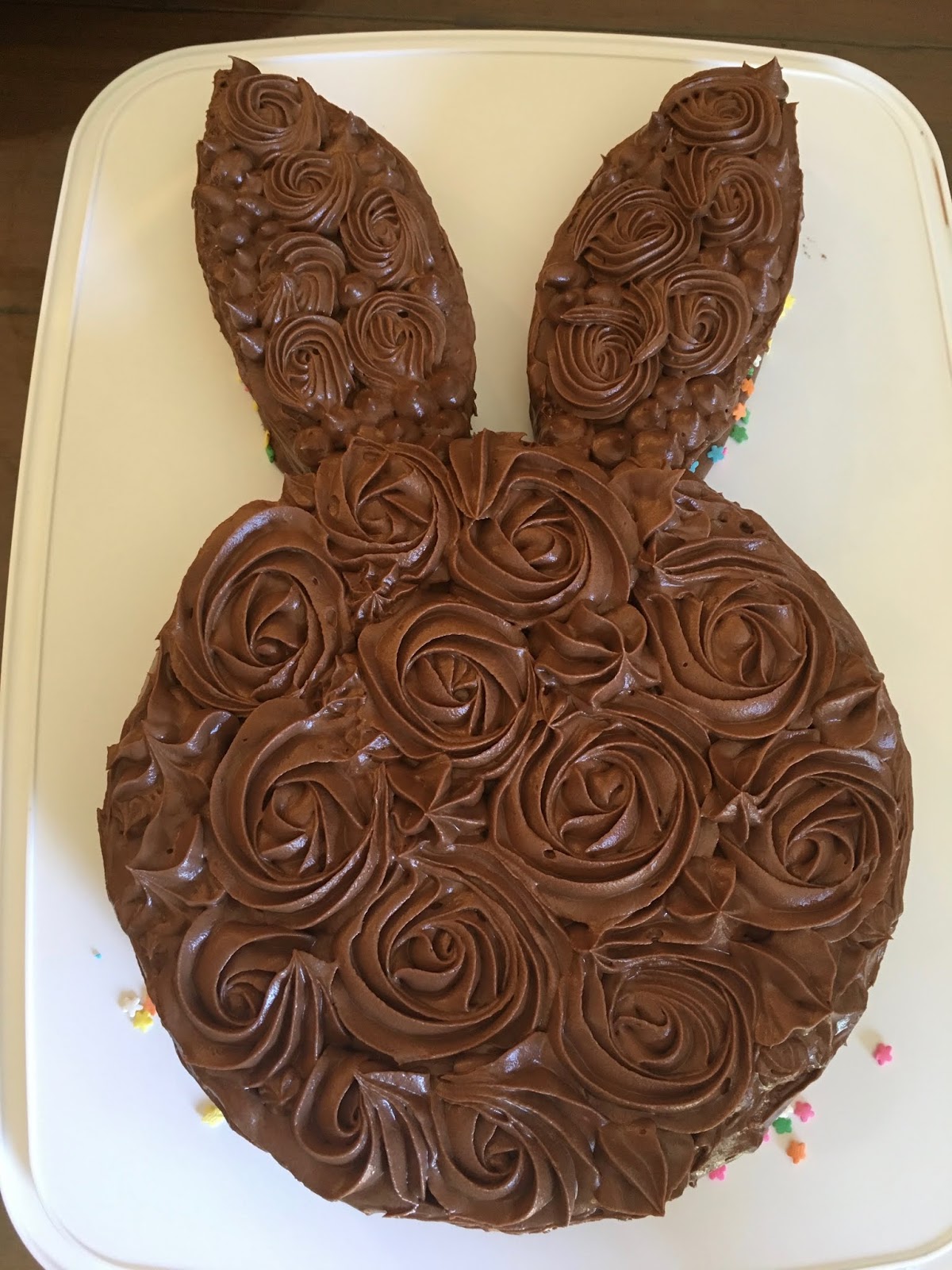 Make My Day Camp: Chocolate Bunny Cake
