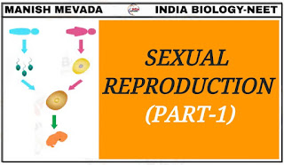 SEXUAL REPRODUCTION (PART-1)