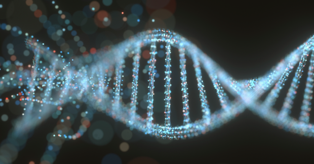 ♥ De Coração a Coração ♥: O QUE É DNA?