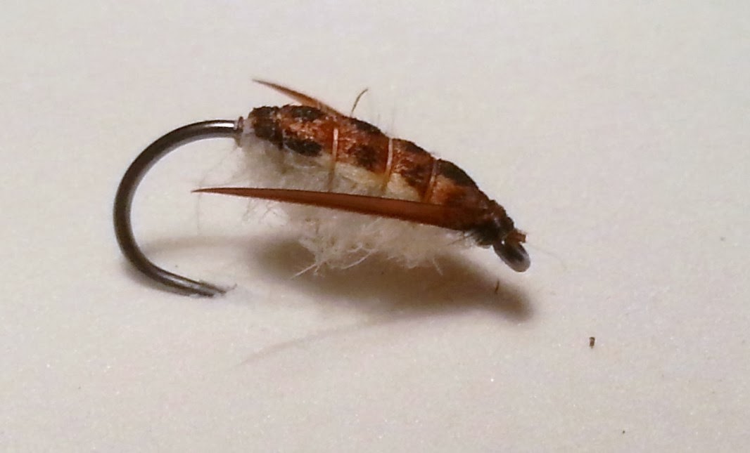 Piscari-Fly : Fishing with the Corixa Bug