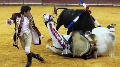 RiseUP Portugal: Brilhante reportagem sobre touradas em Portugal