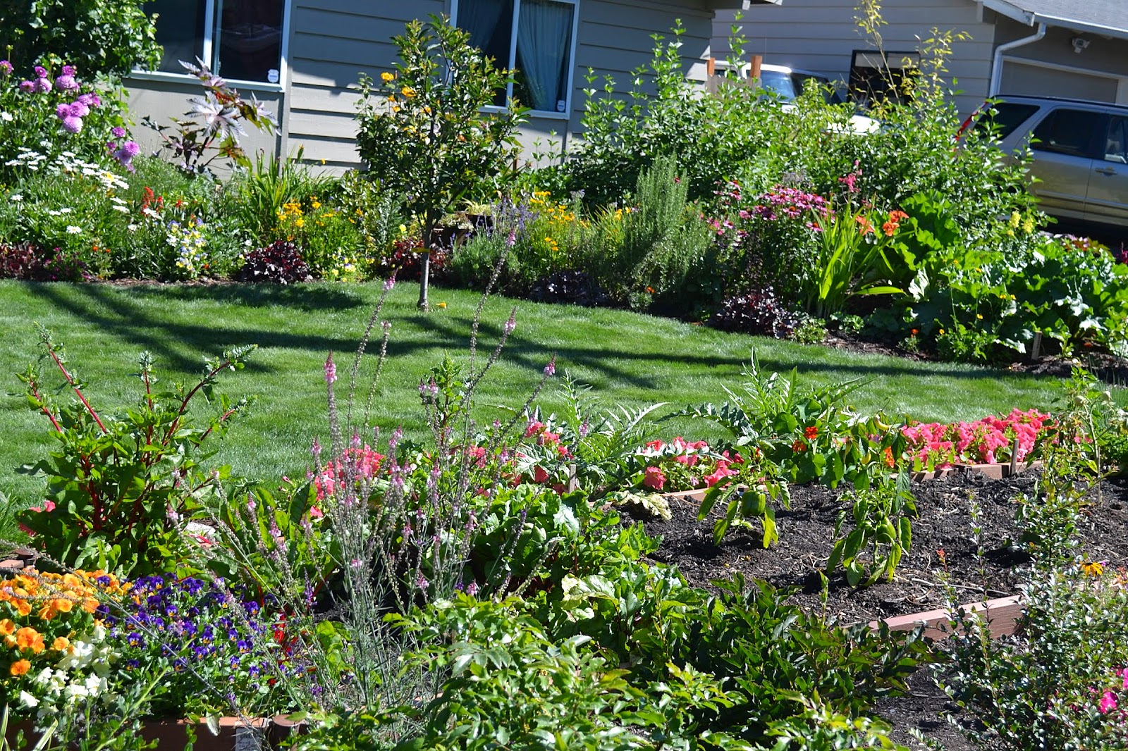 The Outlaw Gardener: Federal Way Symphony Garden Tour Part One: Last ...