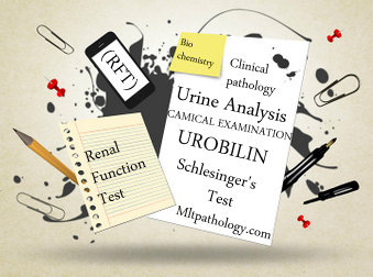 TEST FOR UROBILIN IN URINE