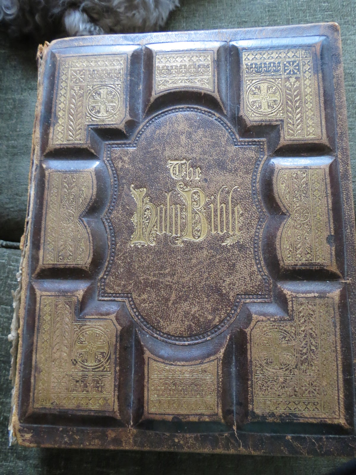 Life Deep-rooted: Heaven Got a Good One