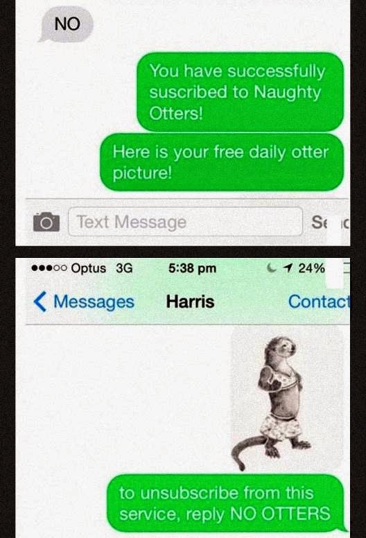 Guy Receives A Text Scam. His Reaction? He Sends Back The Best Reply Ever