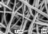 Forensics Study and Analysis: Major Types of FIbers