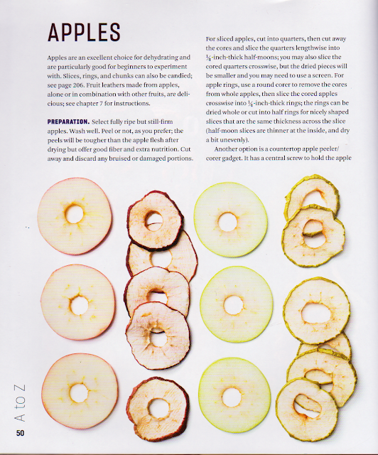 Dehydrating Made Simple Recipe Blog: Fruits