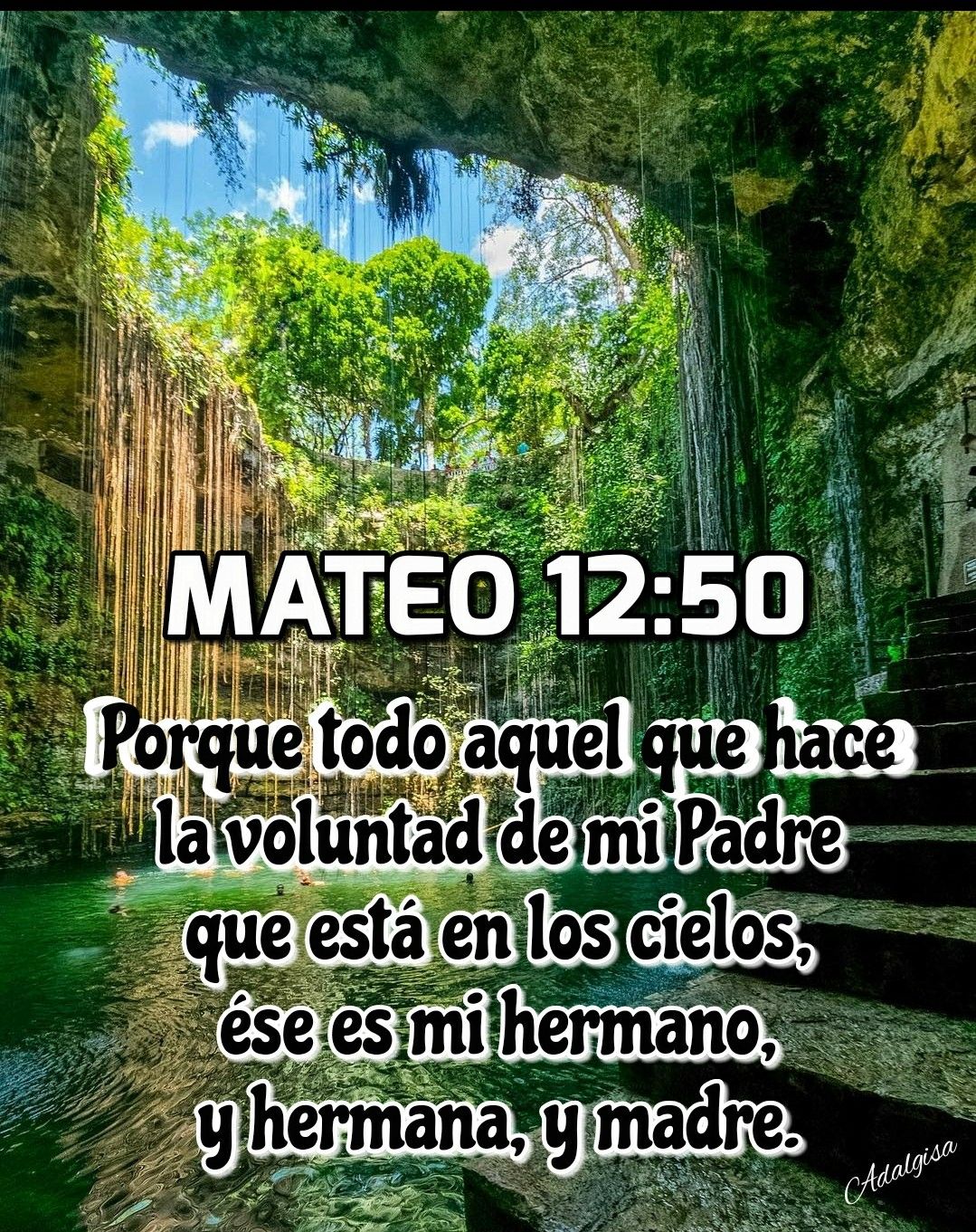 ANTOFAGASTA RELIGIOSA: LA BIBLIA: MATEO 12