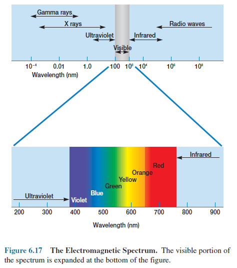 Microbiology Notes: Microbial Growth : Bacterial Growth Curve