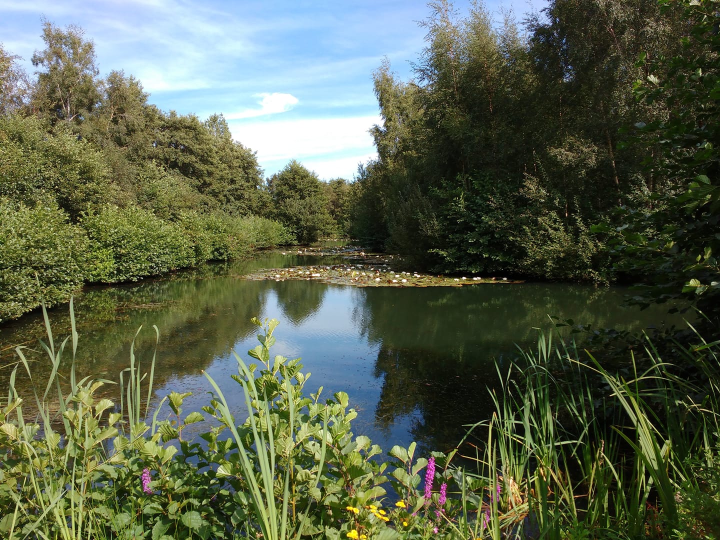 The Camping Directory: Cobbleacre Park, Hevingham, Norfolk