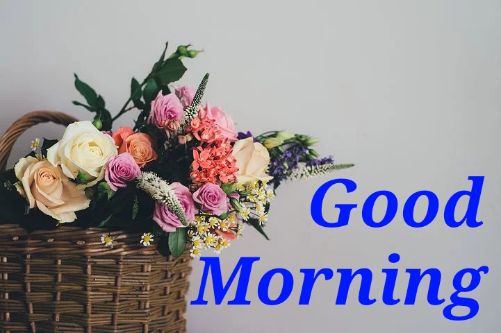 Top 10 Good Morning Images greating Pictures,Photos for Whatsapp ...