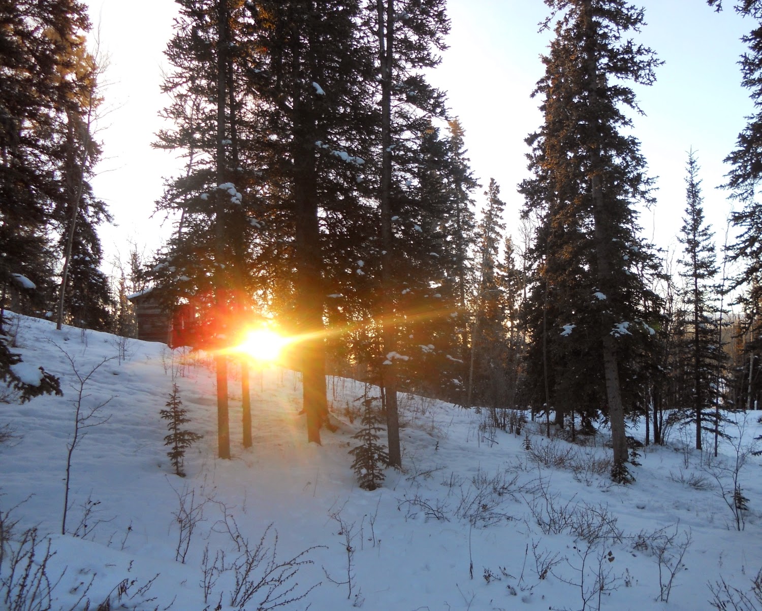 YukonNewsletter: Kalt. Sehr kalt!