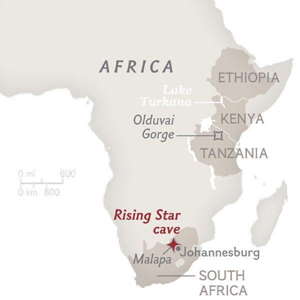 Species New to Science: [PaleoAnthropology • 2015] Homo naledi • A New ...