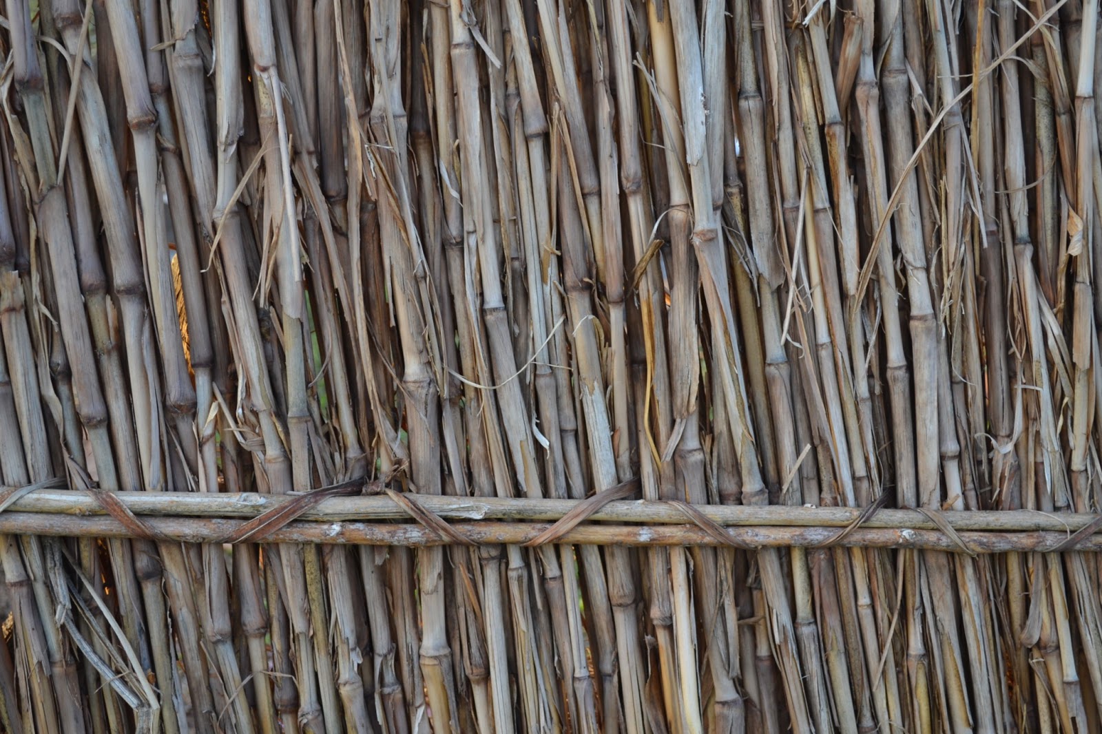 Weathervane of Peace: Fencing of The Gambia