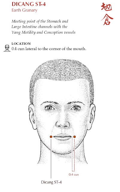 Acupuncture Masters: Acupuncture Points Database - Stomach channel