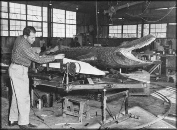 Old Photos of the Construction of Disneyland ~ Vintage Everyday