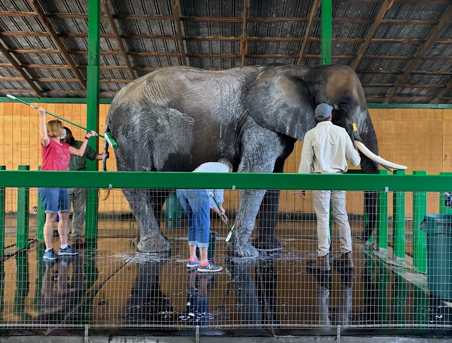 Nanette's New Life - Changes in Latitudes, Changes in Attitudes ...