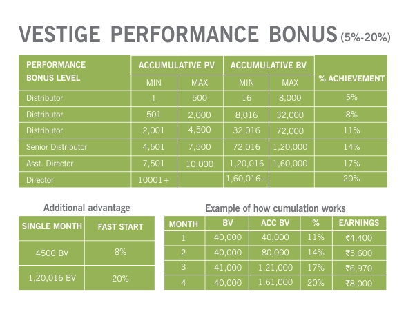 Vestige: Vestige Business Plan