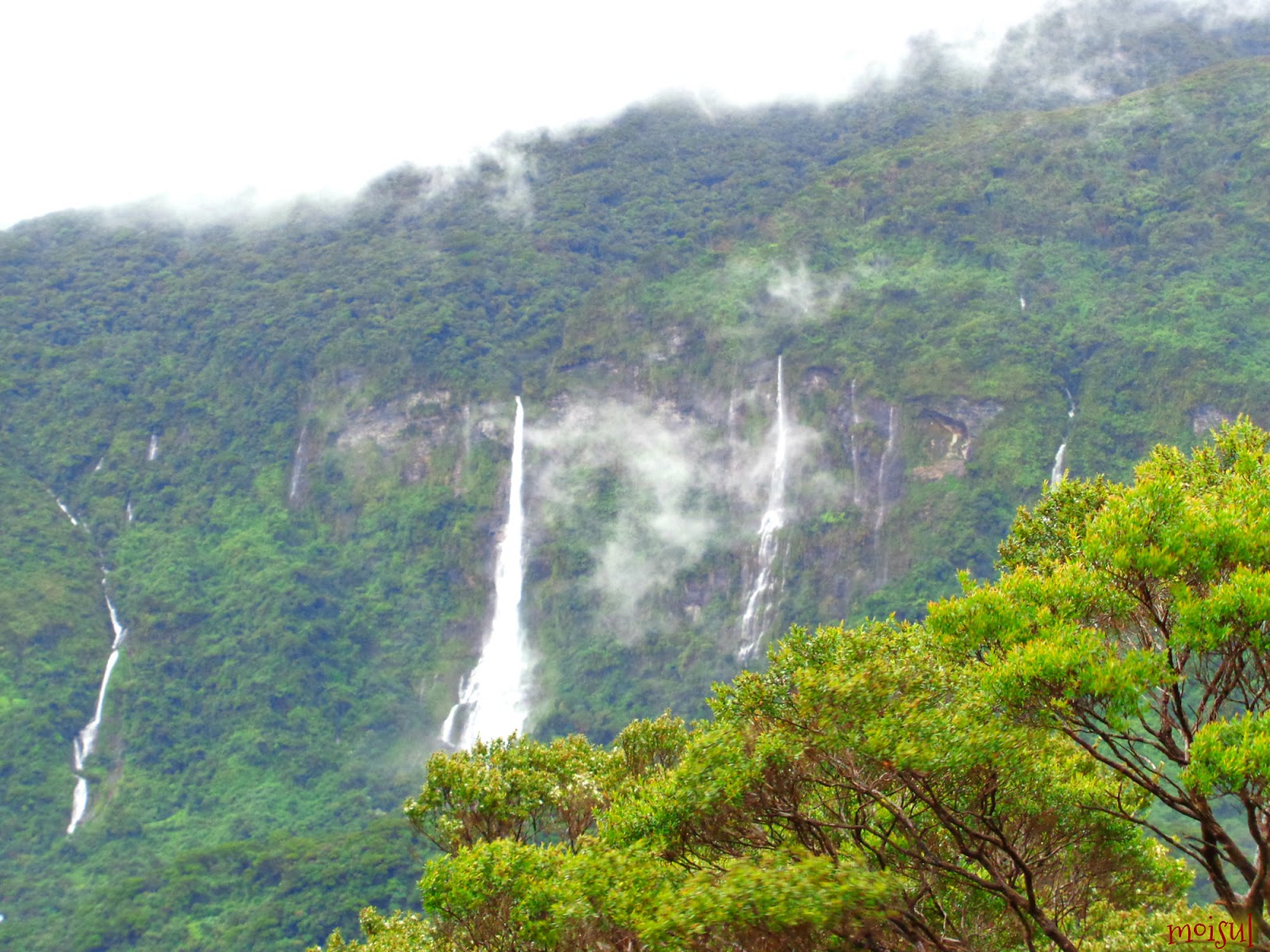 moisul's travelogue: Mt. Halcon...my very first 9/9...June 18-22, 2013