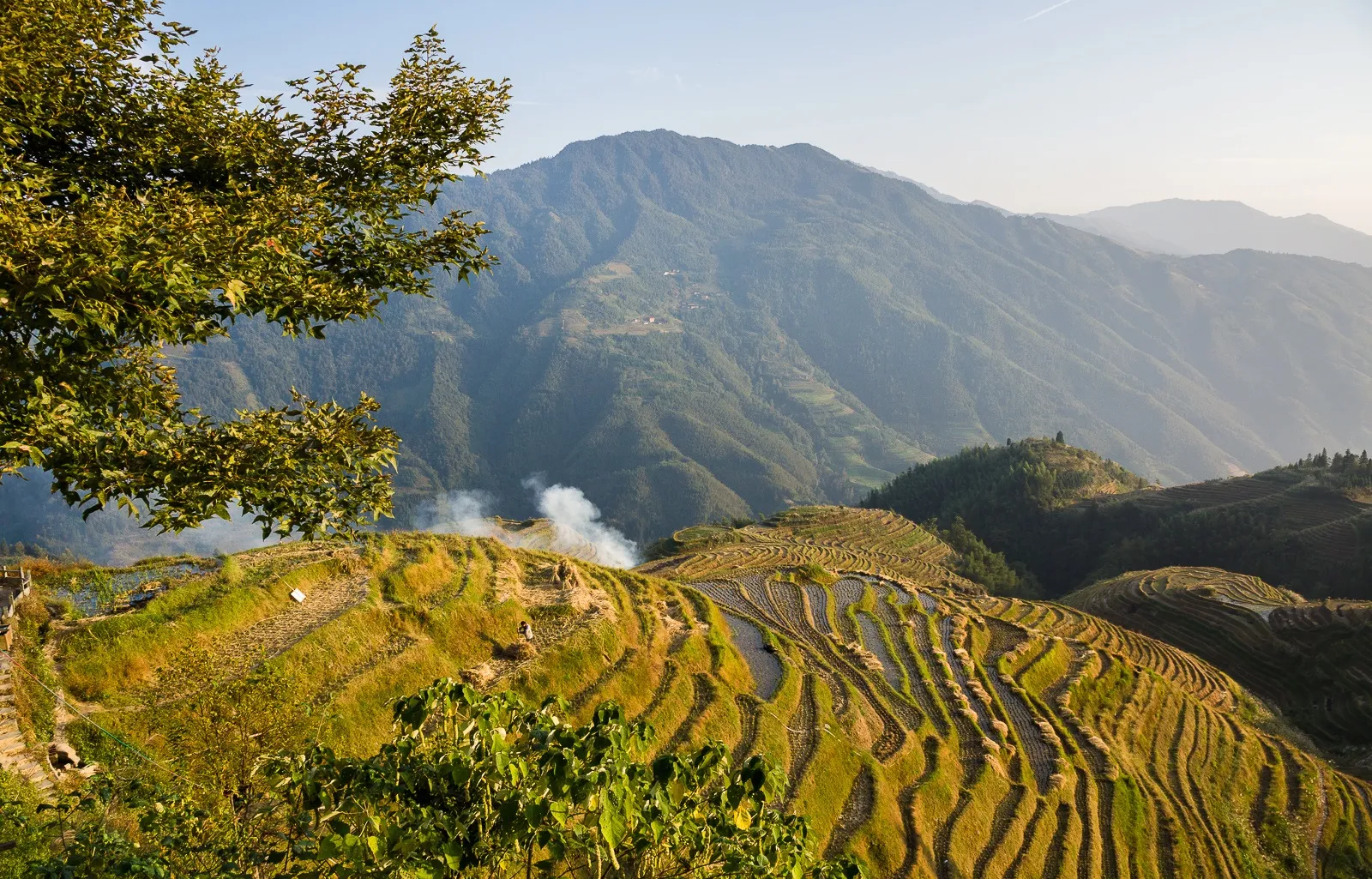 Longsheng Rice Terraces, China (with Map & Photos)