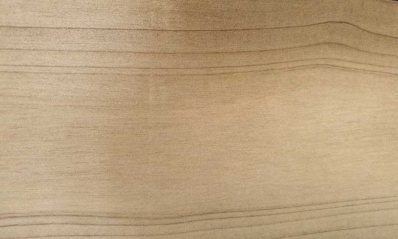 Mengenal Kualitas Kayu Manglid untuk Kusen, Begini Sifat Fisiknya - pro ...