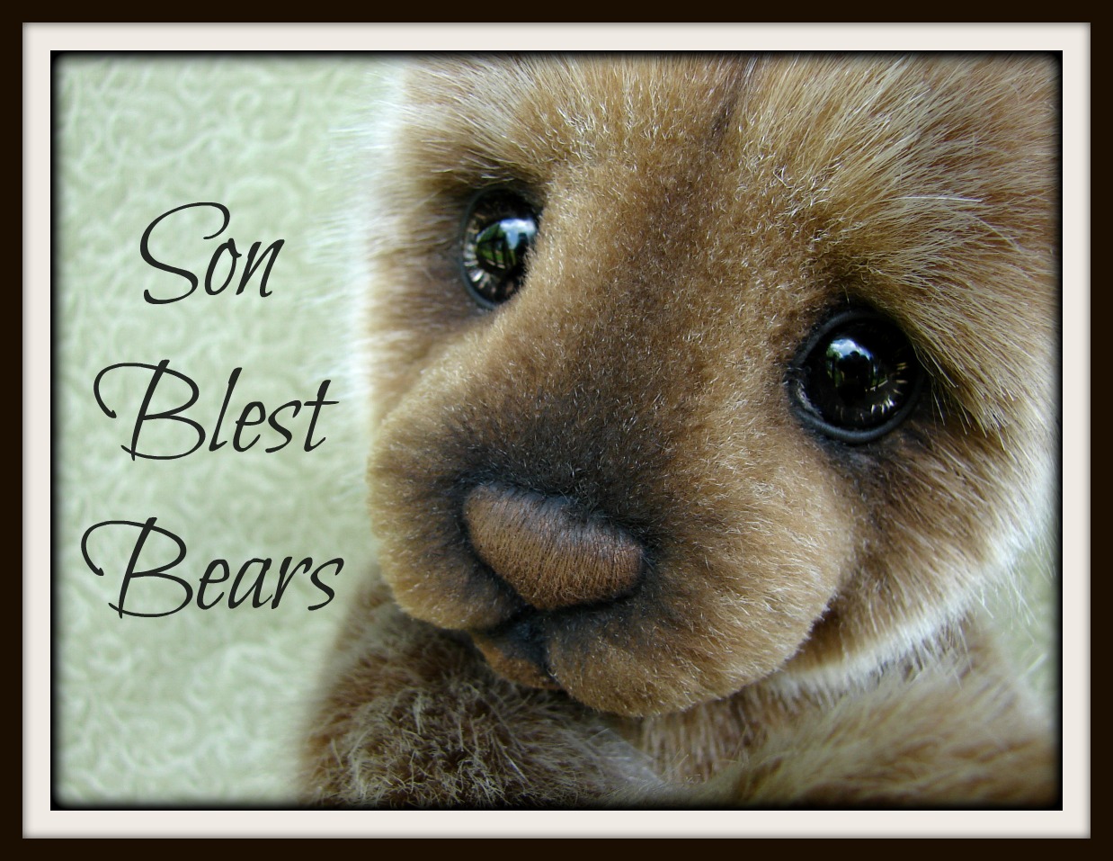 Son Blest Bears by artist Kimi Springer