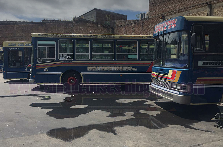 Colectibus - Zona de Buses: LINEA 29