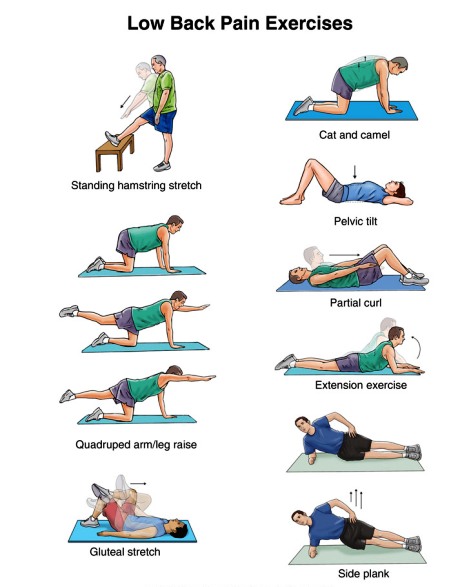 EXCLUSIVE PHYSIOTHERAPY GUIDE FOR PHYSIOTHERAPISTS: EXERCISE FOR LOW ...