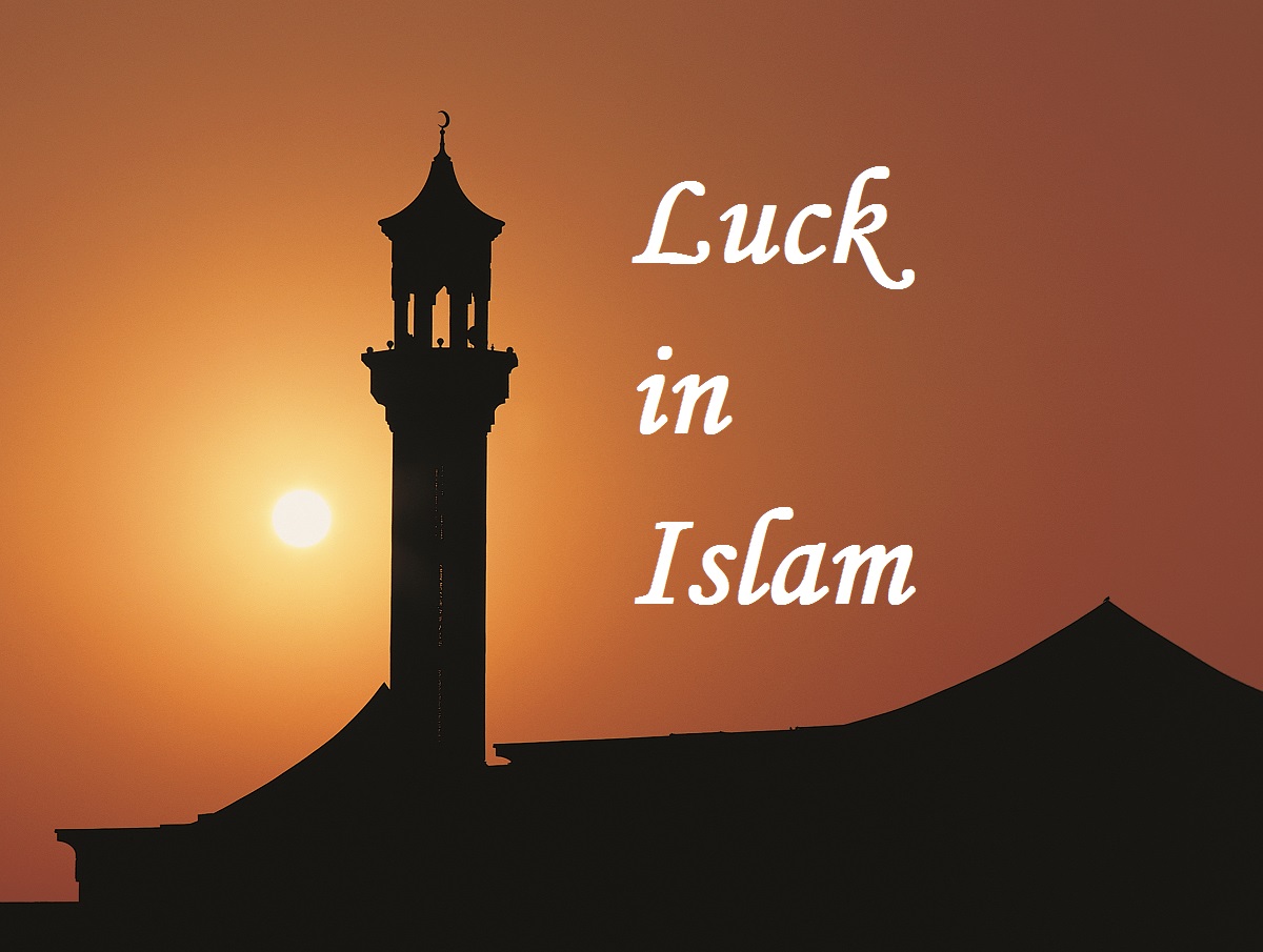 November 2019 Hajj And Umrah News Hajj Guide Umrah Guide In English november-2019-hajj-and-umrah-news-hajj-guide-umrah-guide-in-english