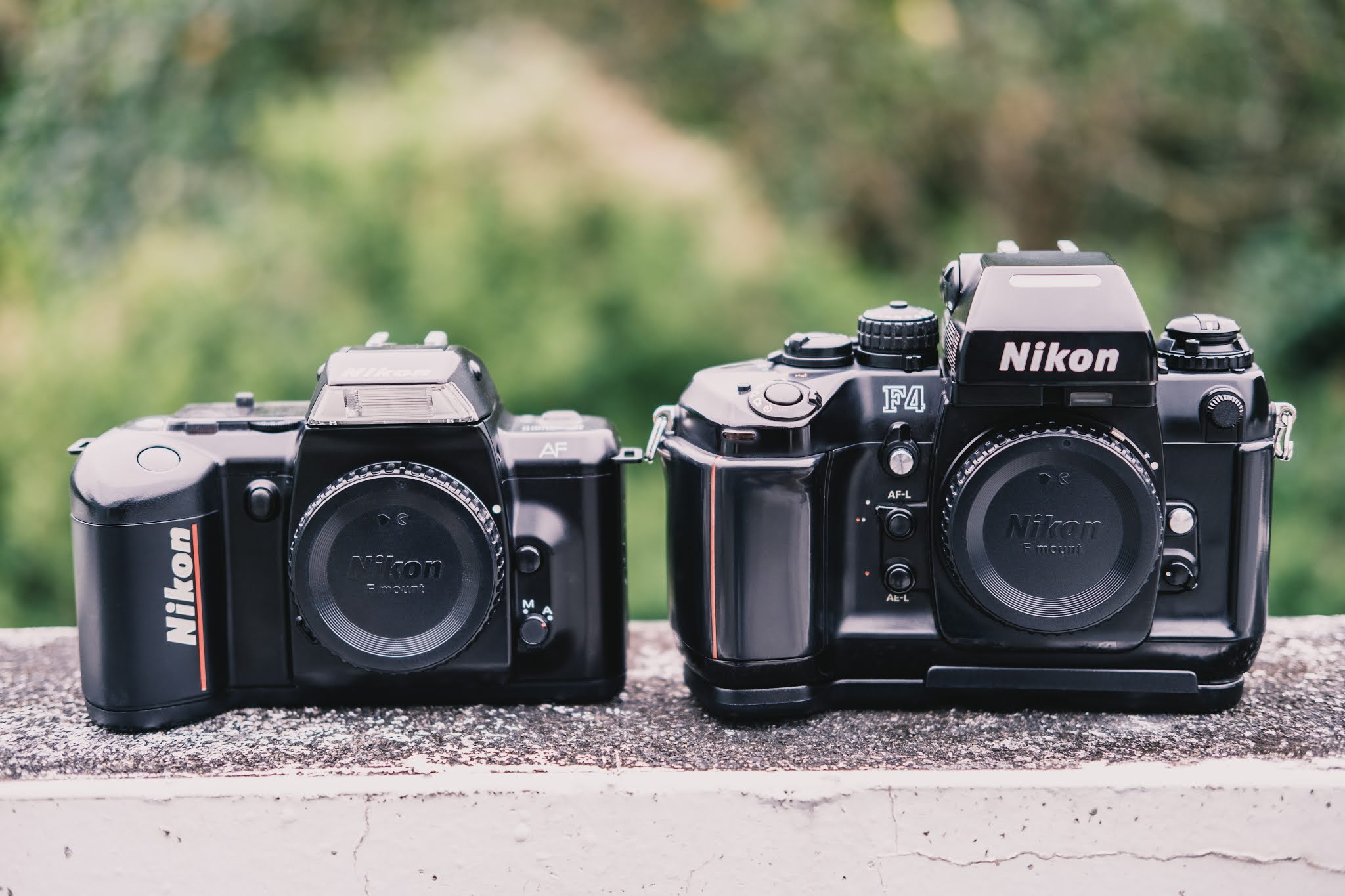 Nikon F401 底片機 開箱 評測 用後感