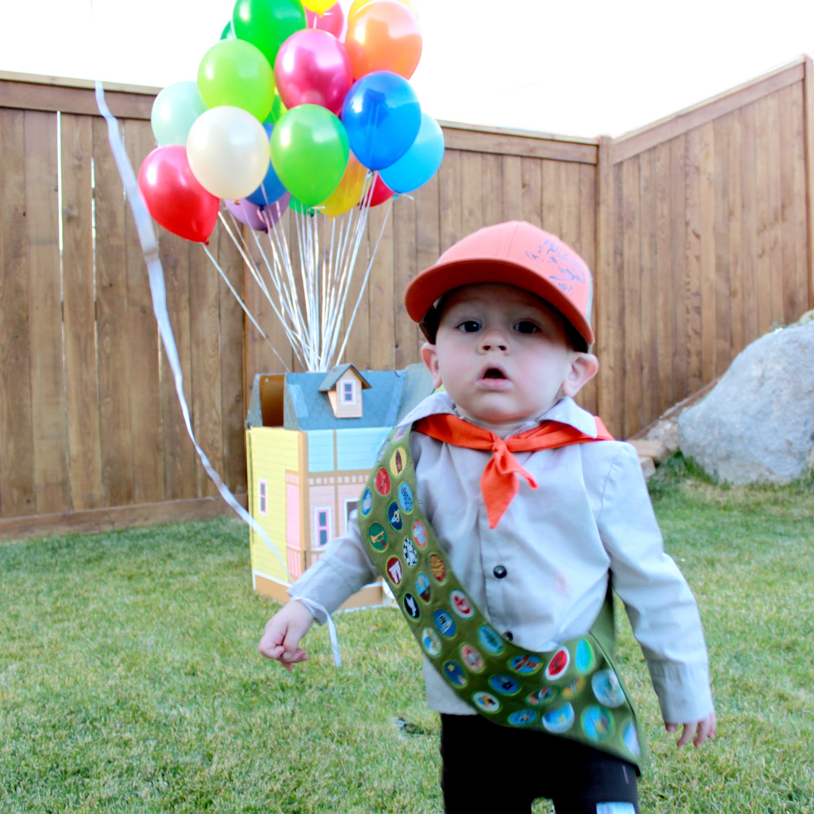 Pixar Up Costume