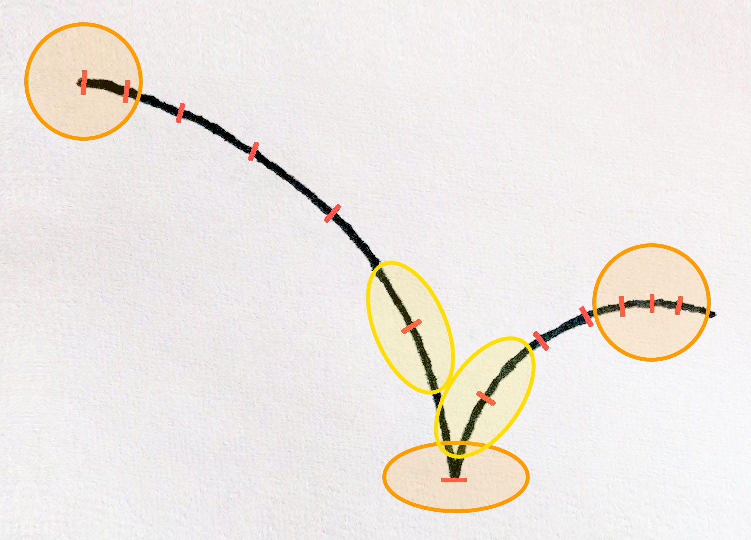 My Journey with Animation Mentor: Principles of animating a Bouncing ...