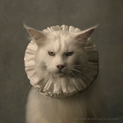 Content in a Cottage: Cats Wearing White Collars (Ruffs)