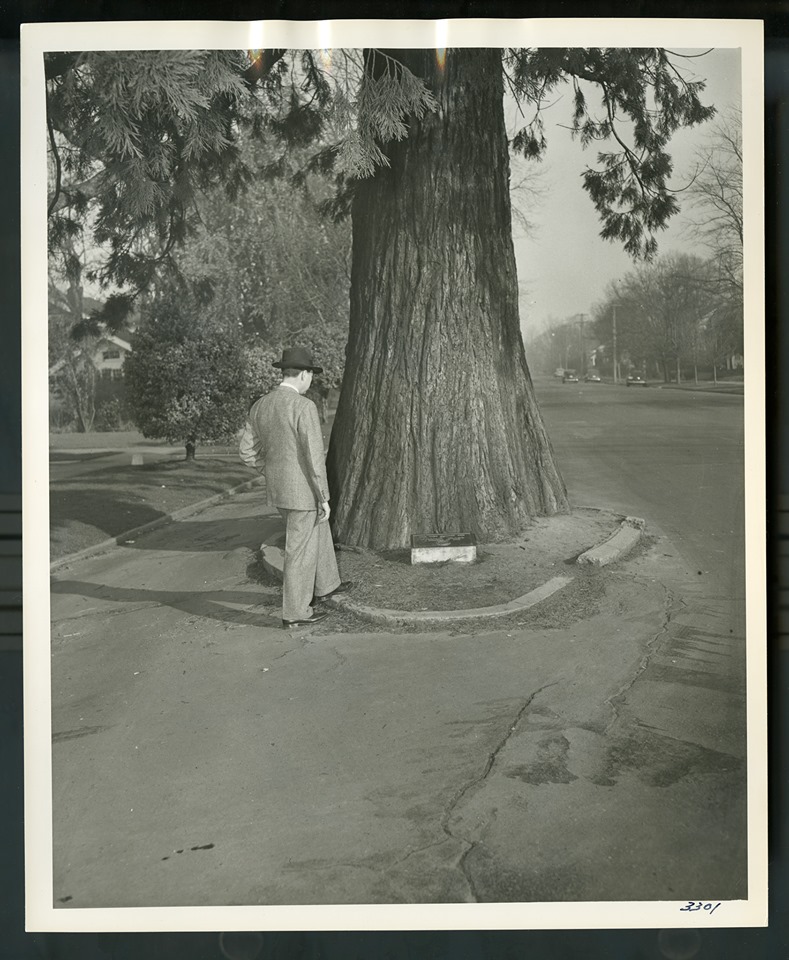 Salem Breakfast on Bikes: More on Origins of Waldo Park: American War ...