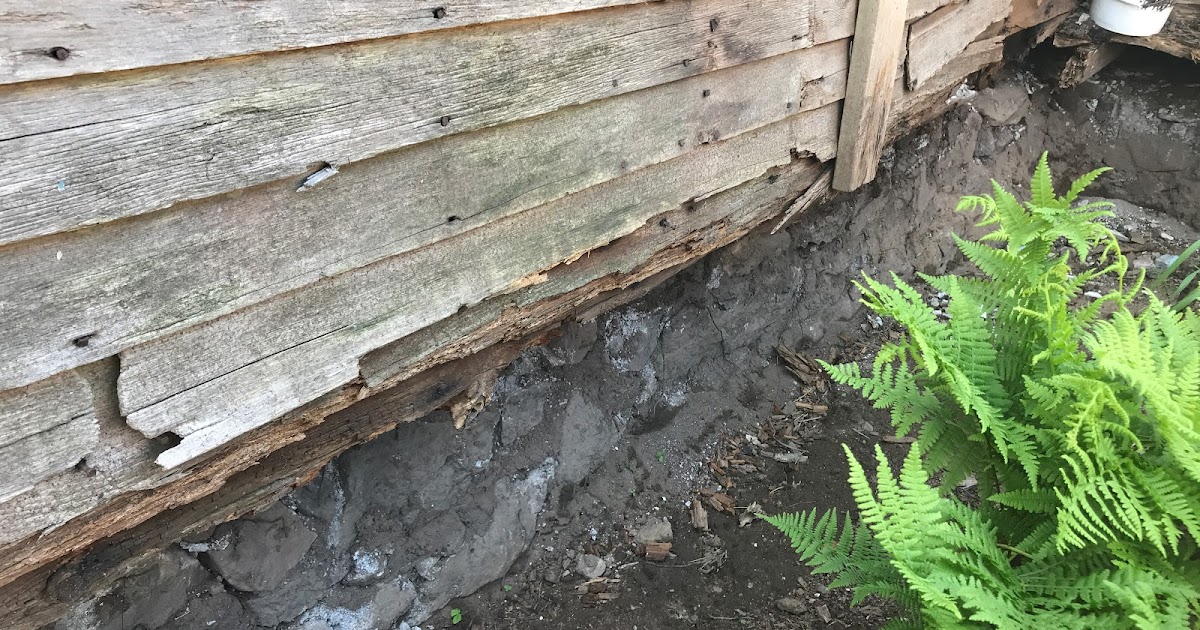 The Dutch Girl's Adventures: Yooper Update June 2020